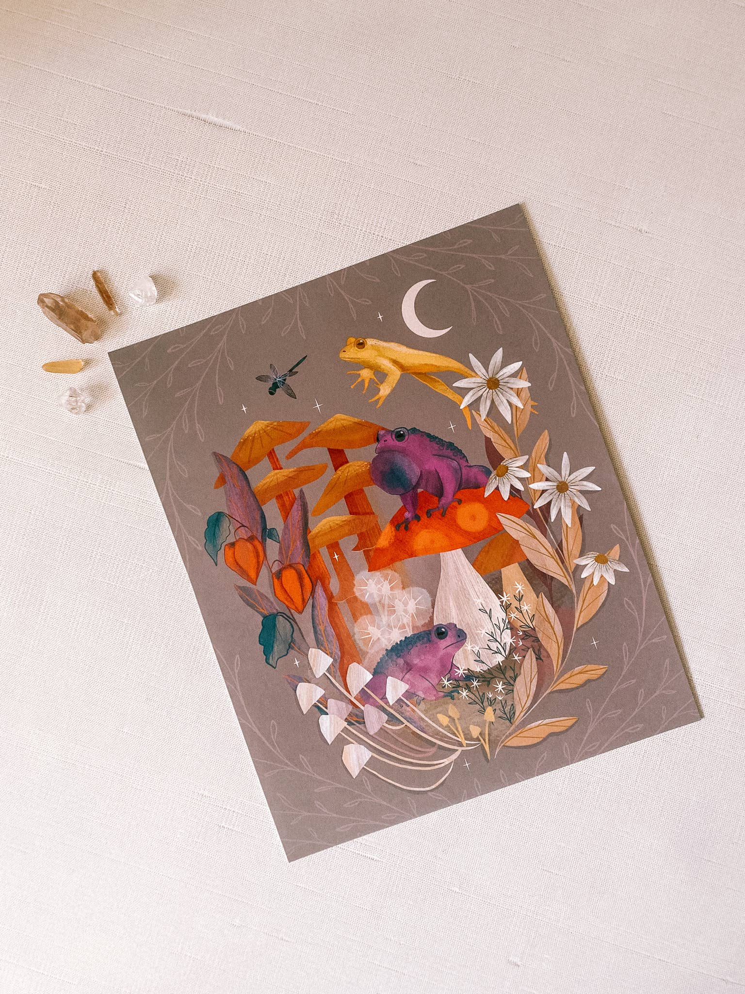 Toads & Toadstools Art Print by Lantern Print Co. – Black Moon Botanica Ltd.